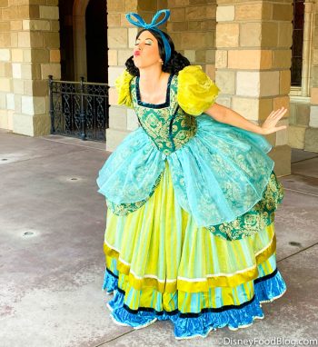 6 CRAZY RARE Things You Can See in Disney World (And When You Can Spot ...