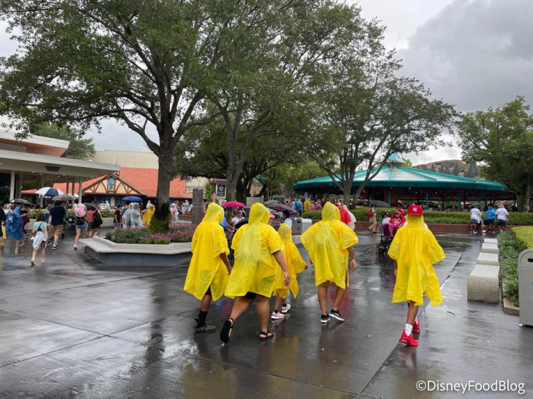 A Complete List of the Attractions that Close When There's Bad Weather ...