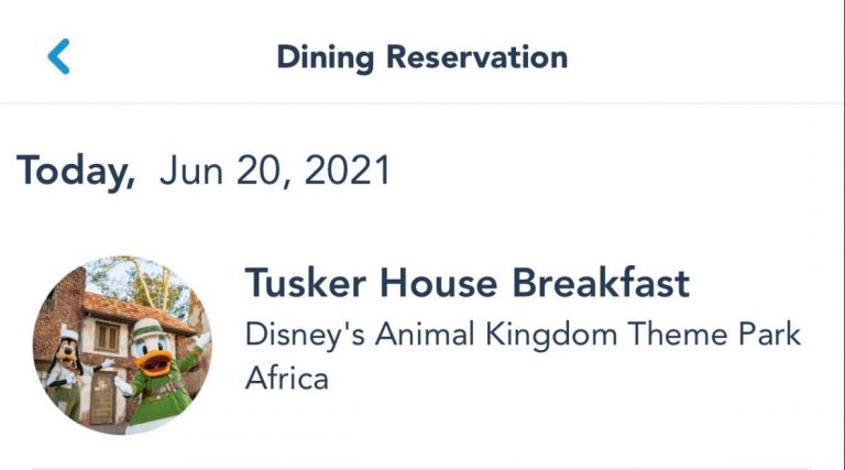 FIRST LOOK: Tusker House Character Dining Has Returned to Disney World ...