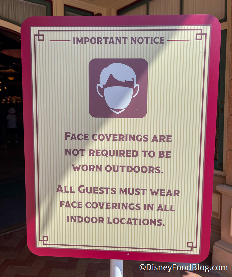 FIRST LOOK at the New Mask Policy at Disneyland Resort - Disney by Mark