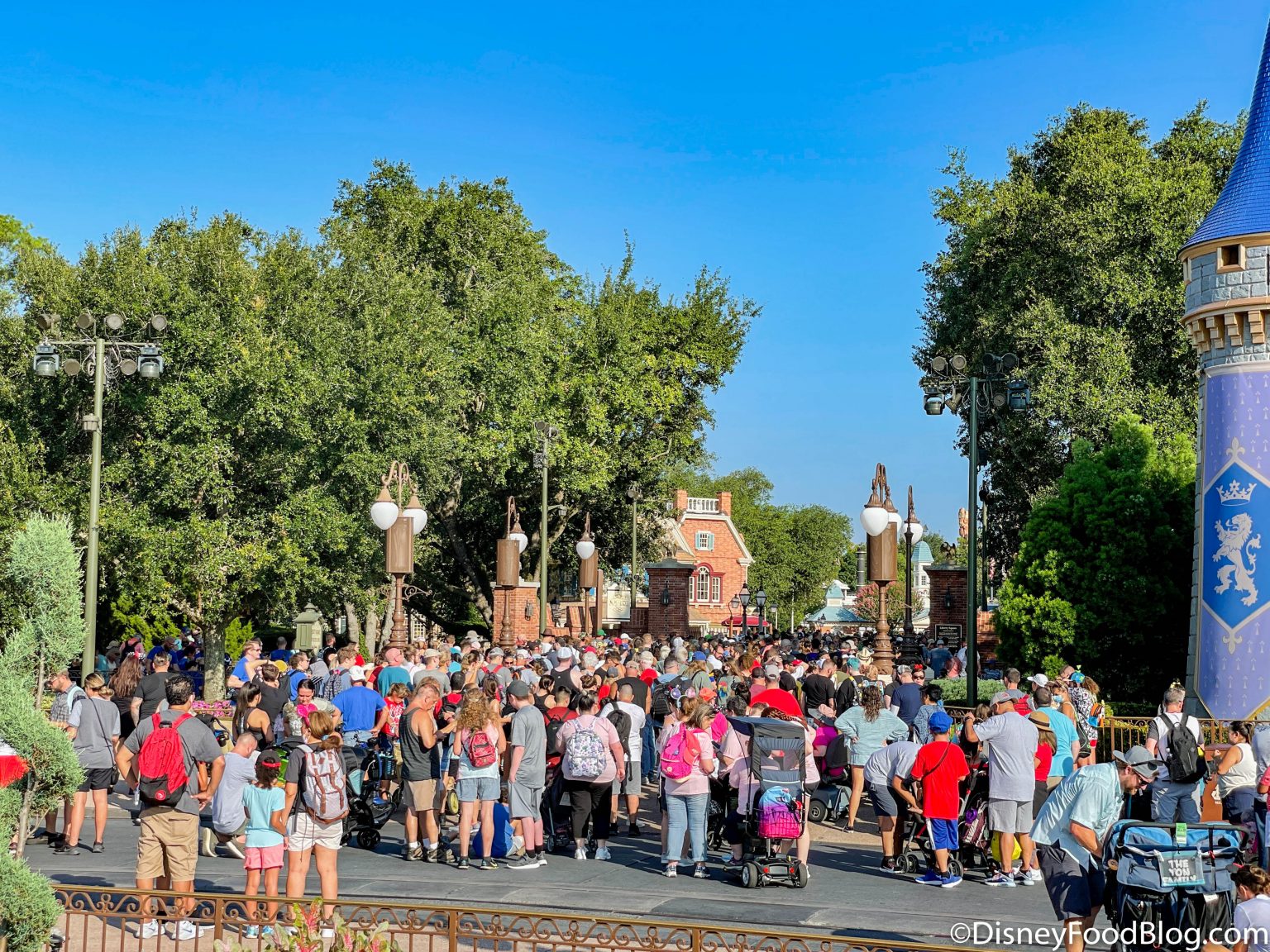 PHOTOS & VIDEO: See What Rope Drop Looks Like Now at Magic Kingdom ...