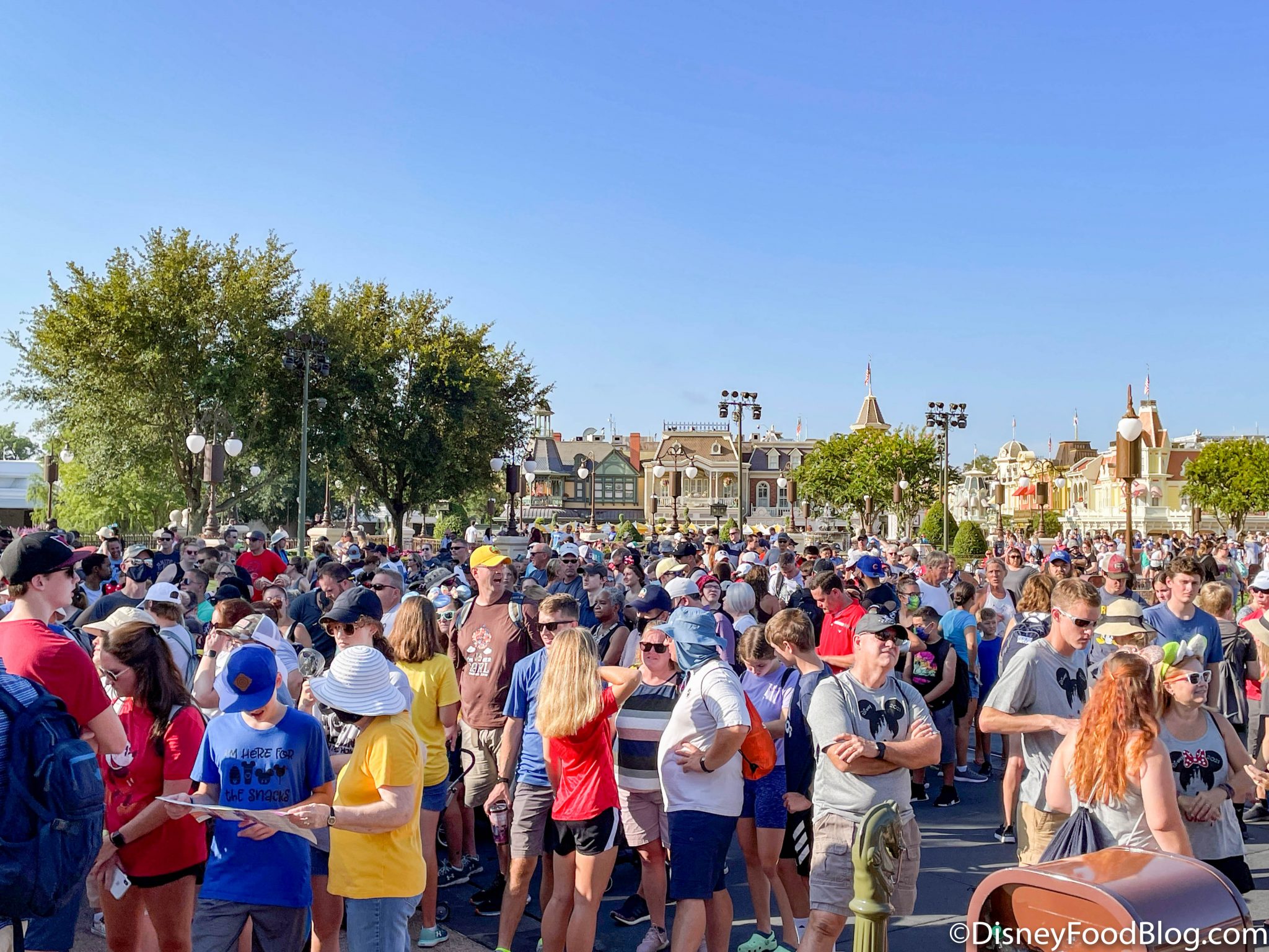 NEWS: Update on Capacity and Attendance Levels in Disney World | the ...