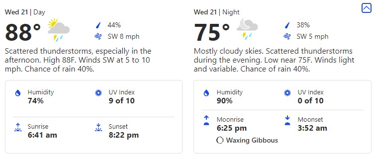 How to Pack and Plan for the Weather in Disney World Next Week! | the ...