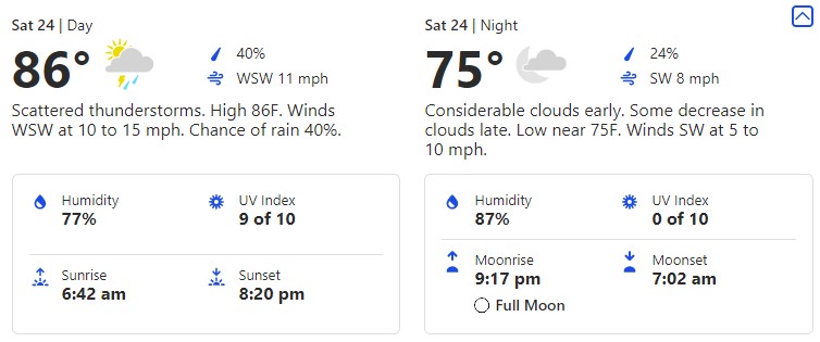 How to Pack and Plan for the Weather in Disney World Next Week! | the ...