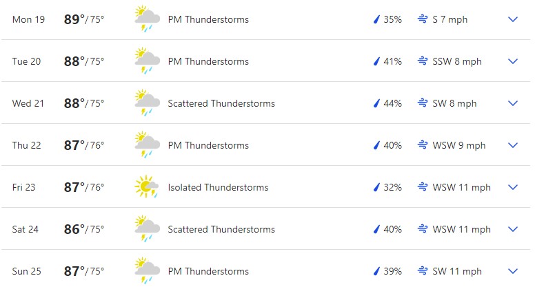How to Pack and Plan for the Weather in Disney World Next Week! | the ...