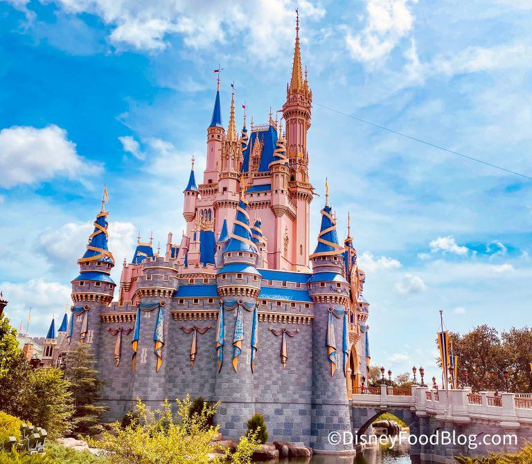 PHOTOS: Can YOU Spot the Progress on Disney World’s Latest Construction ...