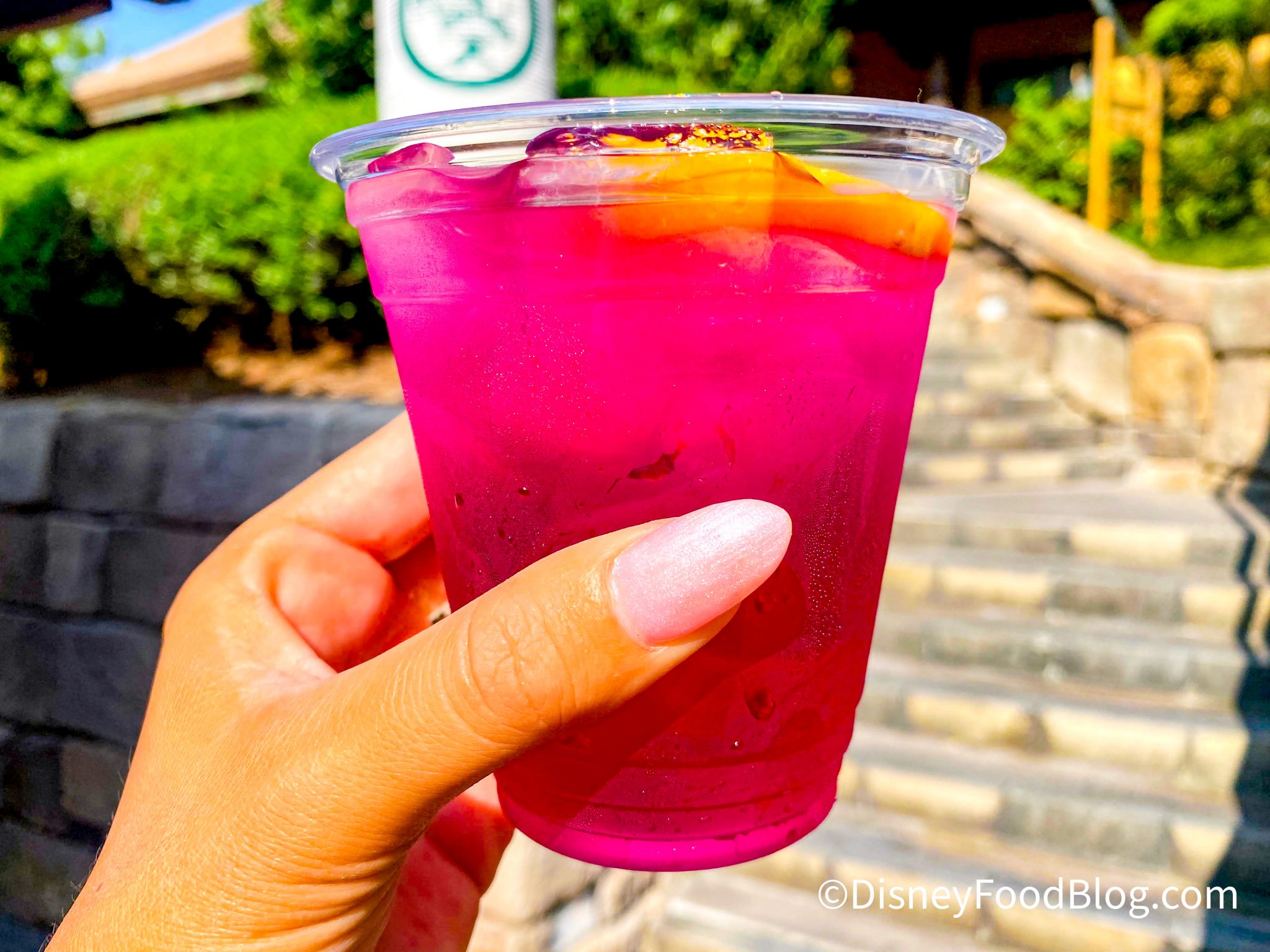 Garden House — Japan Outdoor Sake Bar | the disney food blog