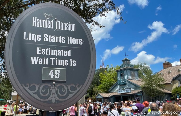 Strange Habits You Only Develop After Visiting Disney World 100 Times ...