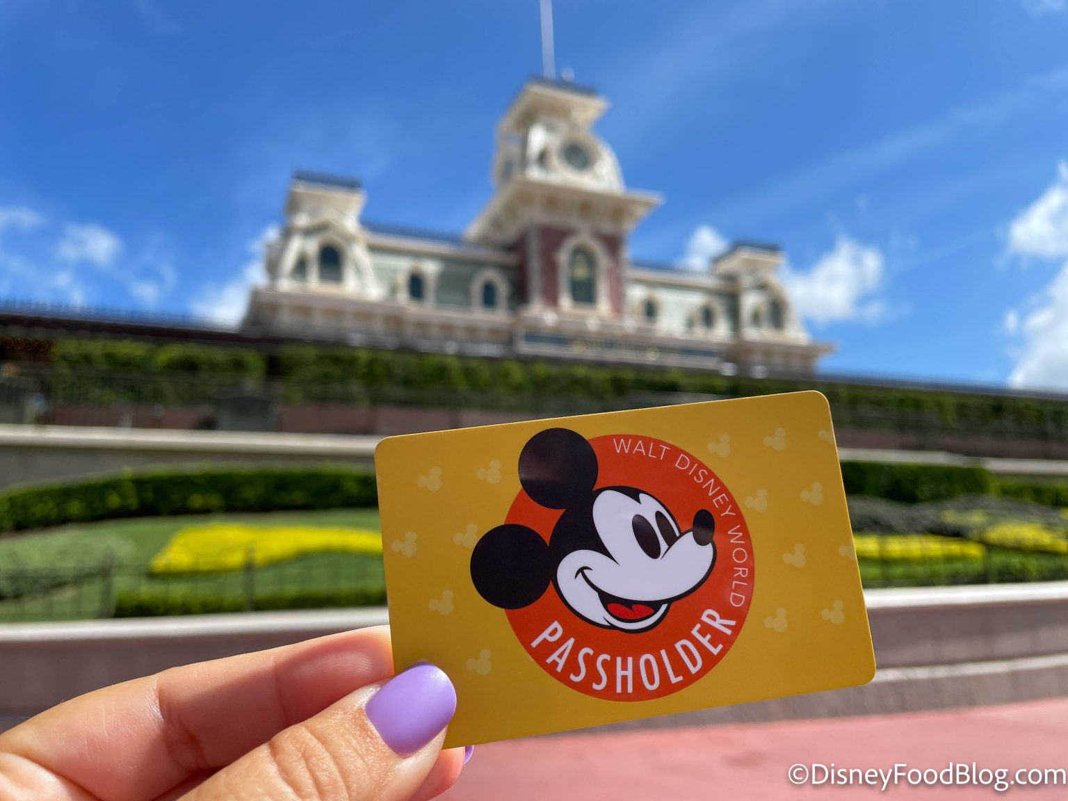 We’re Answering ALL Your Questions About the NEW Annual Passholder ...