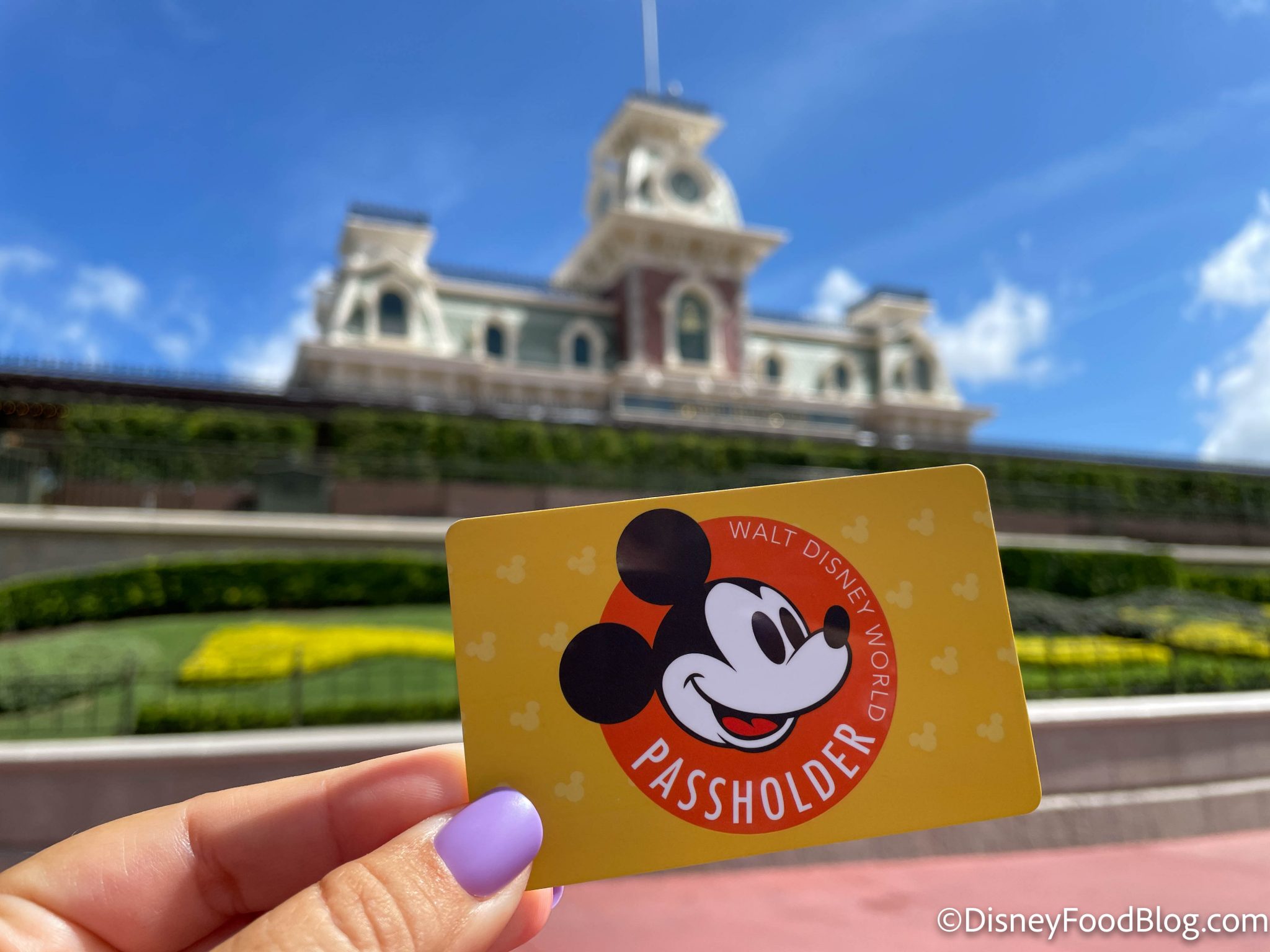 We’re Answering ALL Your Questions About the NEW Annual Passholder ...