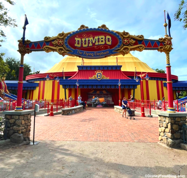 Where is Everybody? The Wait Times Shocked Us at Magic Kingdom This ...