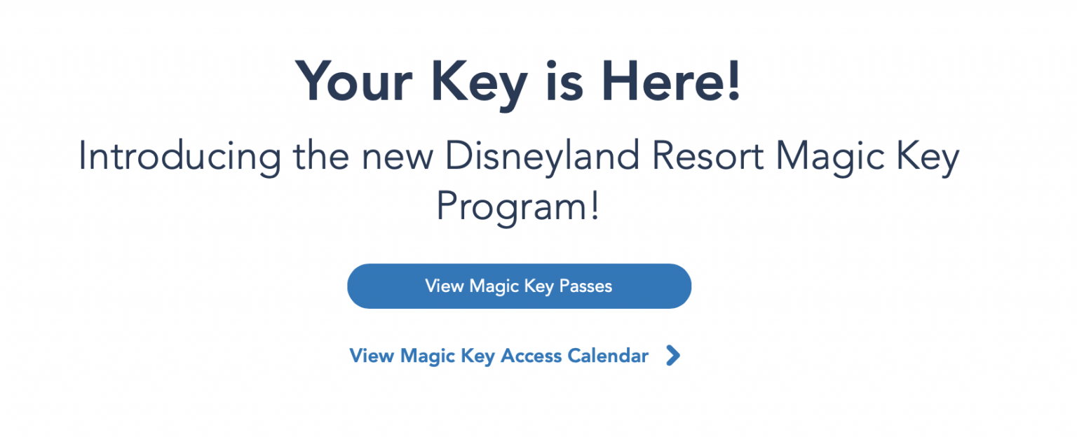 Buffets Are Back, Splash Mountain Retheme Details, and More NEED-to ...