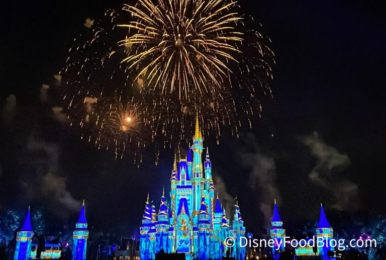 PHOTOS & VIDEOS! FIRST LOOK at Magic Kingdom's NEW Disney Enchantment ...