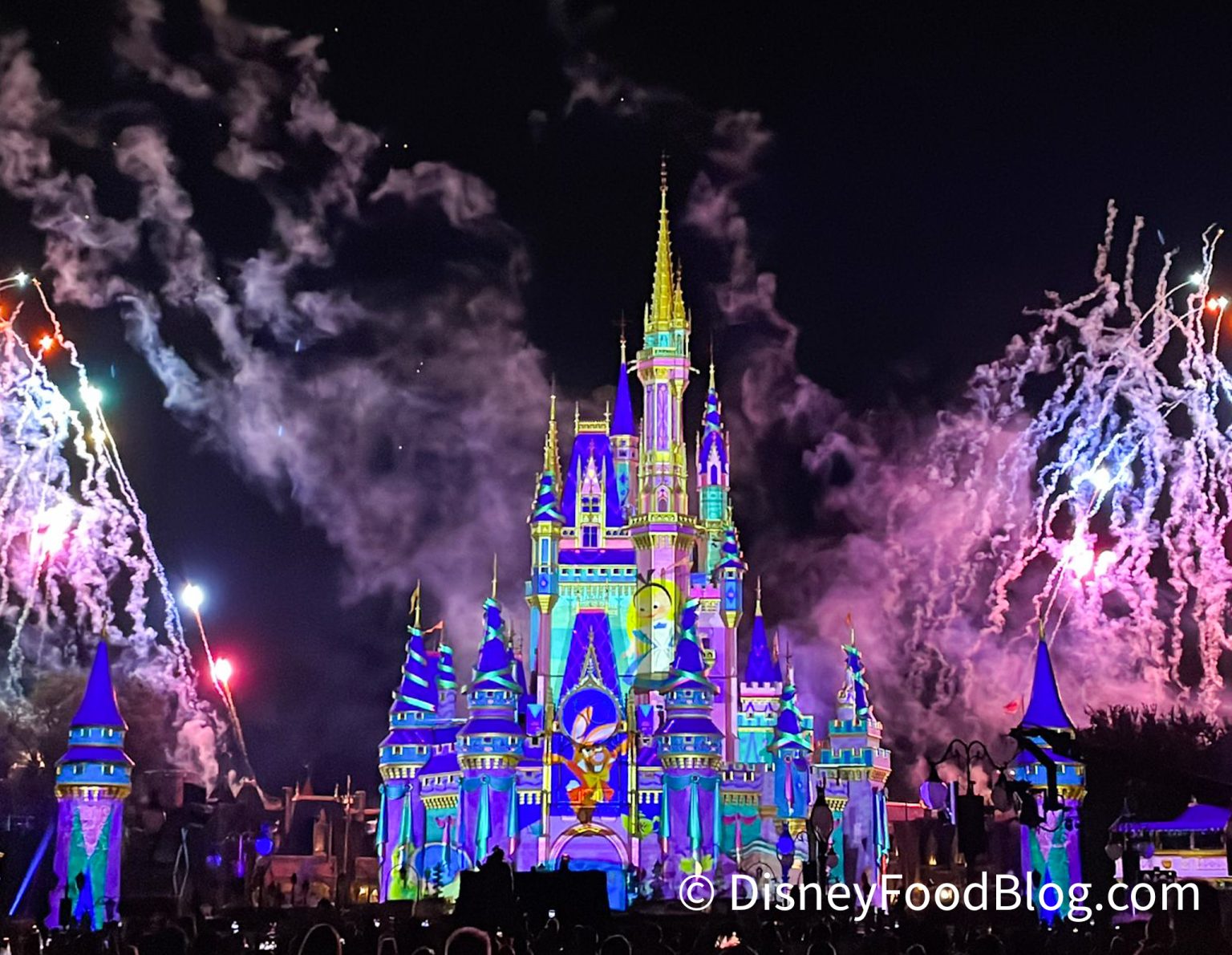 PHOTOS & VIDEOS! FIRST LOOK at Magic Kingdom's NEW Disney Enchantment ...