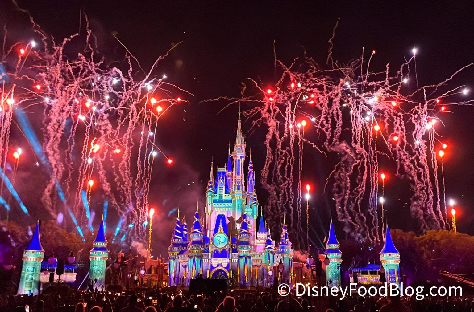 PHOTOS & VIDEOS! FIRST LOOK at Magic Kingdom's NEW Disney Enchantment ...