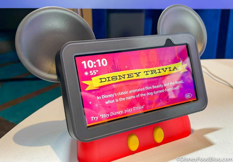 How a New Amazon Alexa Feature Will Impact Your Disney World Hotel Stay ...