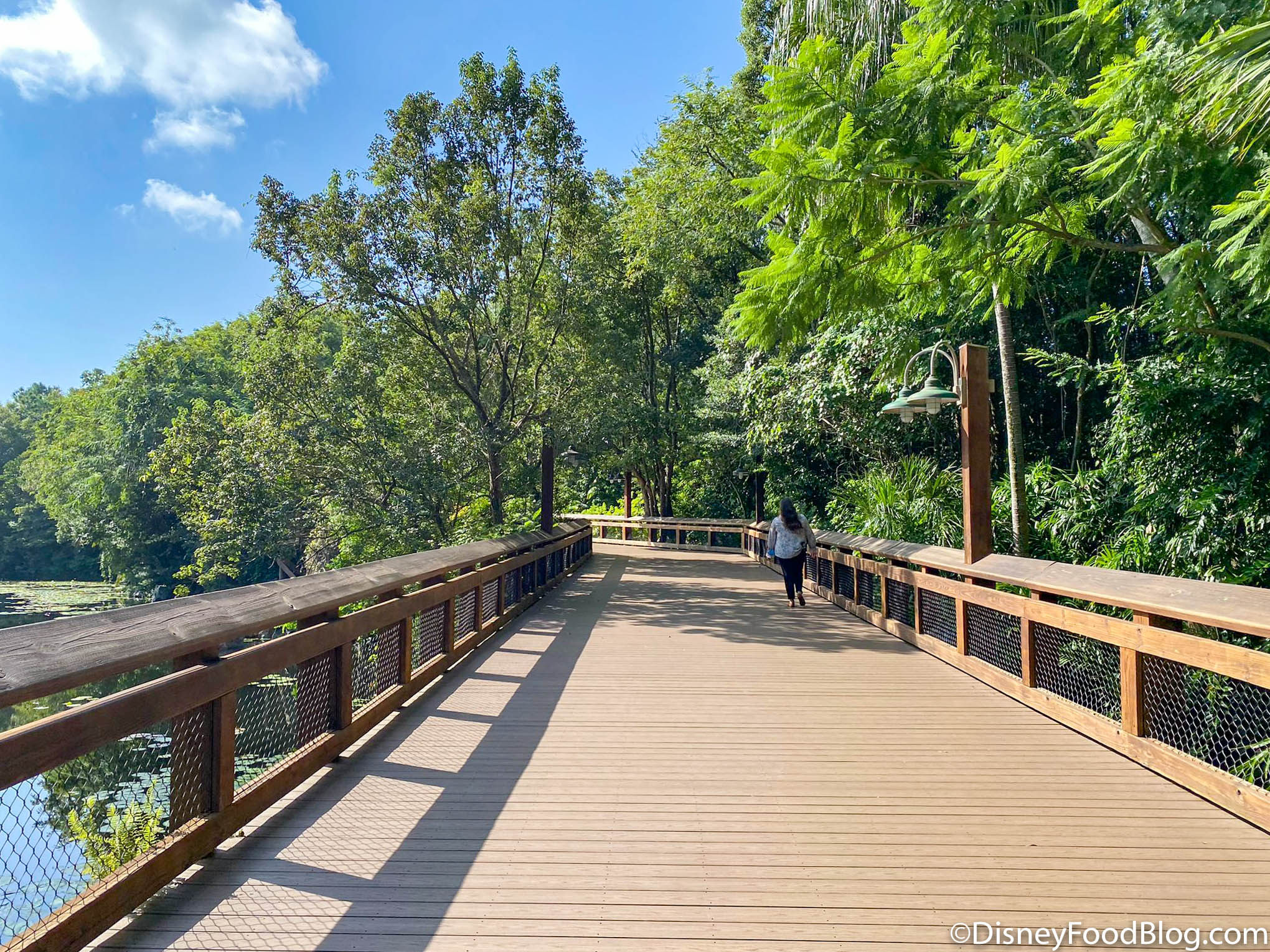 Over 15 SECRET Walkways to Beat the Crowds in Disney World - Disney by Mark