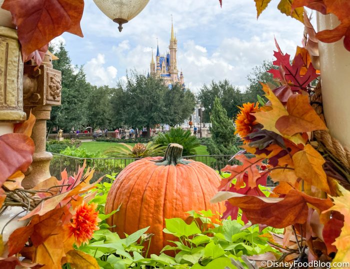 Okay, Disney World Recycles Pumpkins in the BEST Possible Way! | the ...
