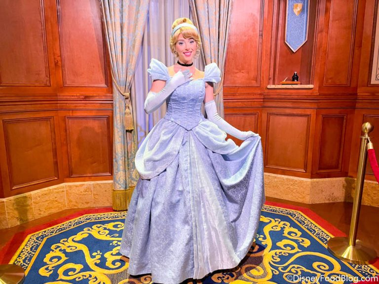 PHOTOS & VIDEOS: Character Meet and Greets RETURN to Disney World in a ...