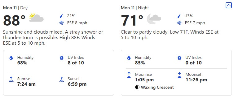 WEATHER UPDATE: Expect Sun and Humidity in Disney World Next Week | the ...