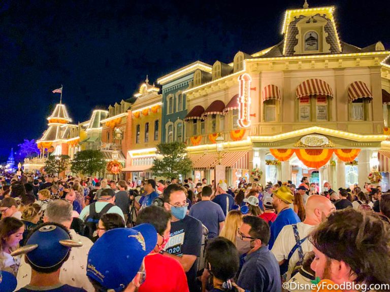 PHOTOS & VIDEO: CROWDS for the First Night of New Enchantment Fireworks ...