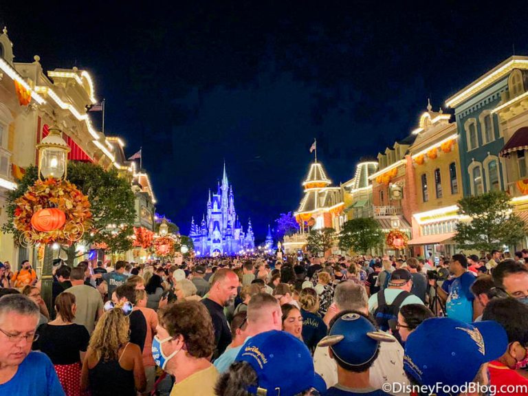 PHOTOS & VIDEO: CROWDS for the First Night of New Enchantment Fireworks ...
