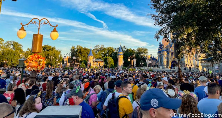 PHOTOS & VIDEO: CROWDS for the First Night of New Enchantment Fireworks ...