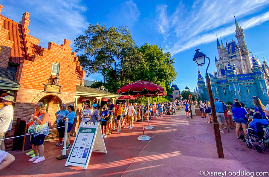 Over 15 SECRET Walkways to Beat the Crowds in Disney World - Disney by Mark