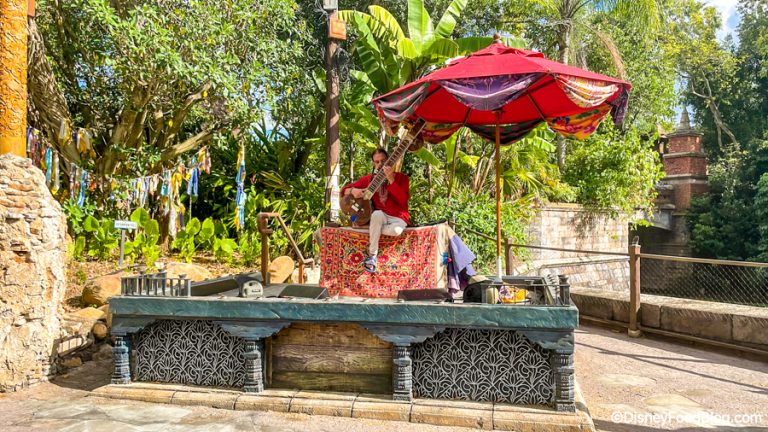 NEWS: Disney's Animal Kingdom Performer Stephen Mikes Has Passed Away ...