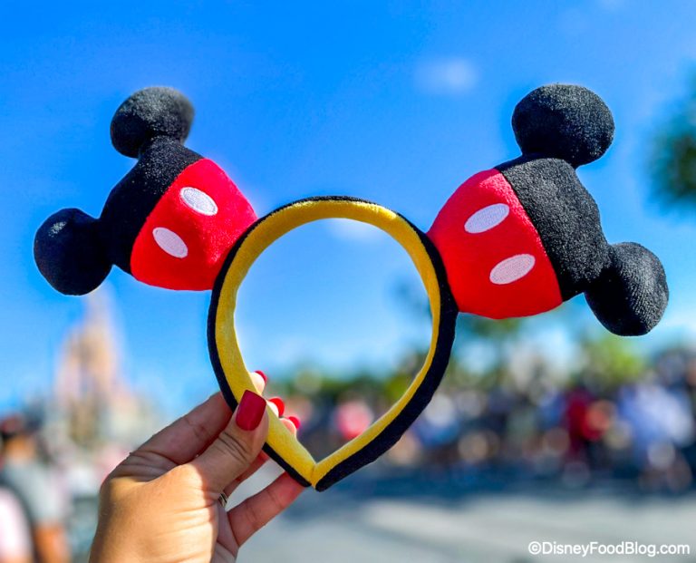 Disney World's Latest Mickey Ears Will Make Your Photos Look EPIC | the ...