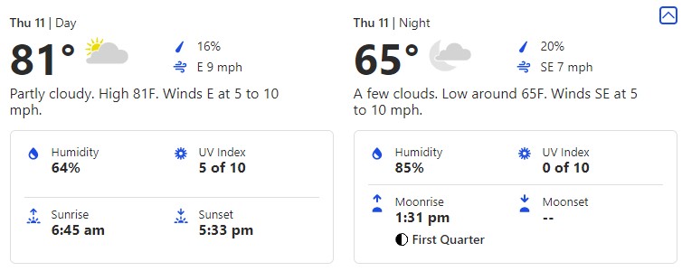 Plan for Warm Days and Chilly Nights in Disney World Next Week! | the ...