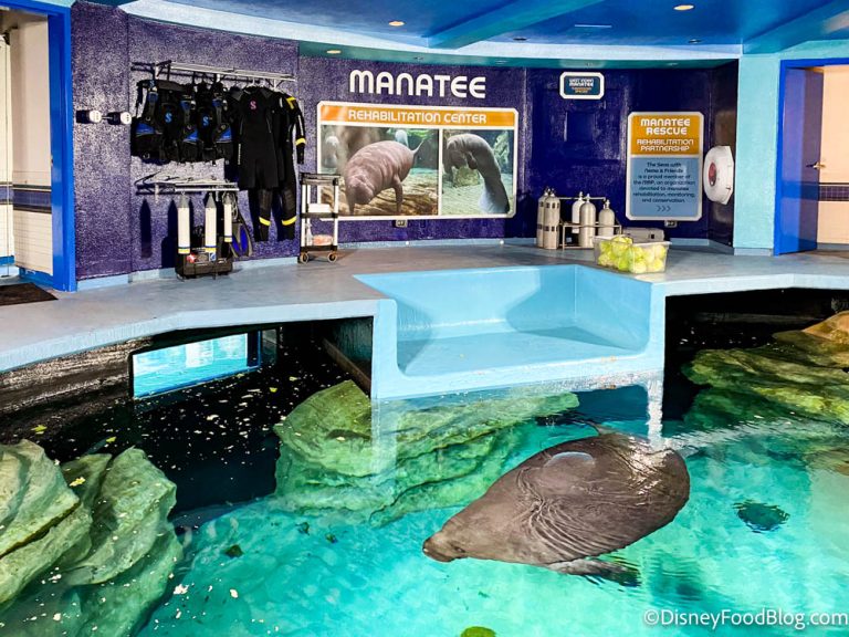 ALERT: Iconic Backstage Tour Will Permanently CLOSE Next Week in EPCOT ...