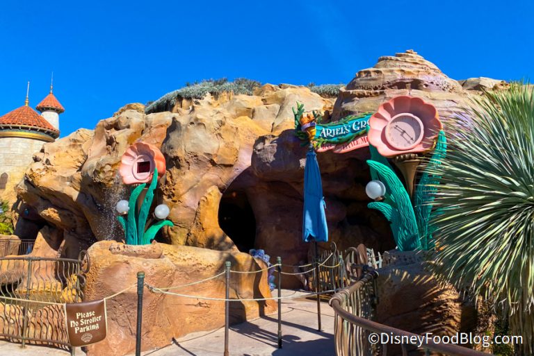 BREAKING: A Disney Princess Meet-and-Greet Will Reopen SOON in Magic ...