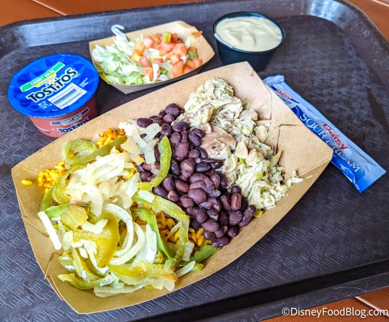 Is Disney World Too Expensive For Average Families? | the disney food blog