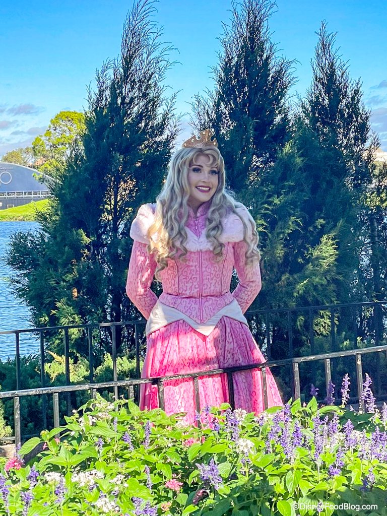 PHOTOS: This Disney Princess is READY for the C-C-COLD Weather at EPCOT ...