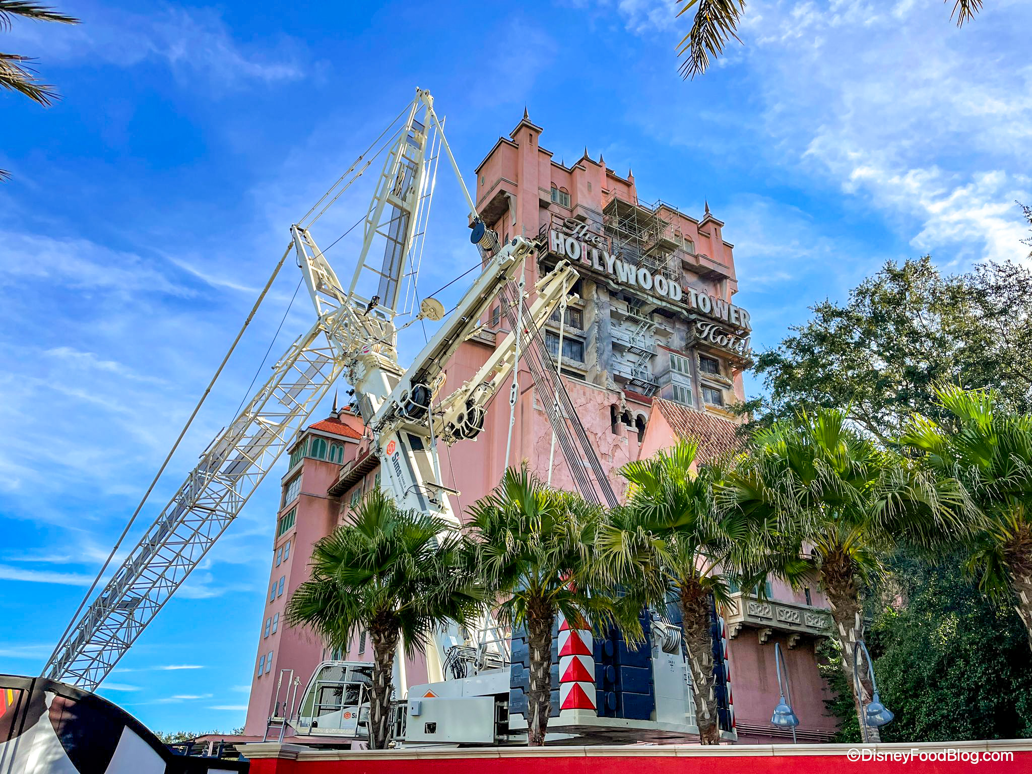 PHOTOS: Construction Spotted on a Disney World Park Icon! | the disney ...