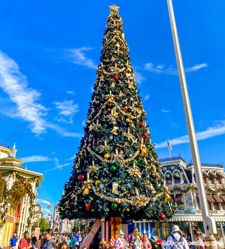 PHOTOS & VIDEOS: Holiday Decorations Have Arrived in Magic Kingdom ...