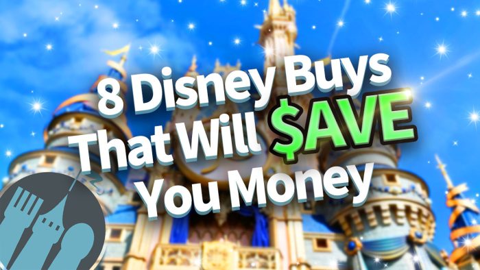 DFB Video: 8 Disney World Buys That Will Save You Money | the disney ...