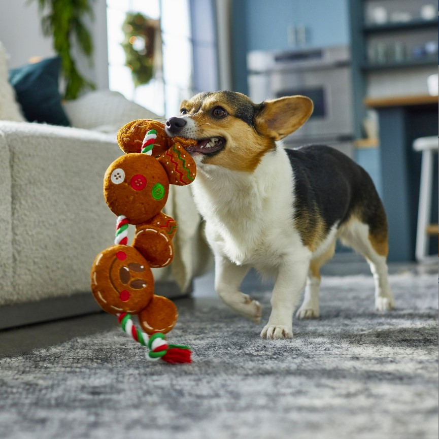 Last Minute Christmas Gifts for Your Pets! 🎁 | the disney food blog
