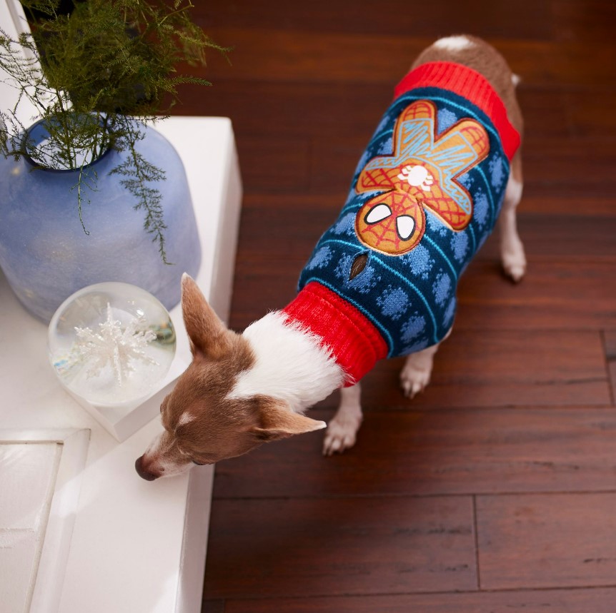Last Minute Christmas Gifts for Your Pets! 🎁 | the disney food blog