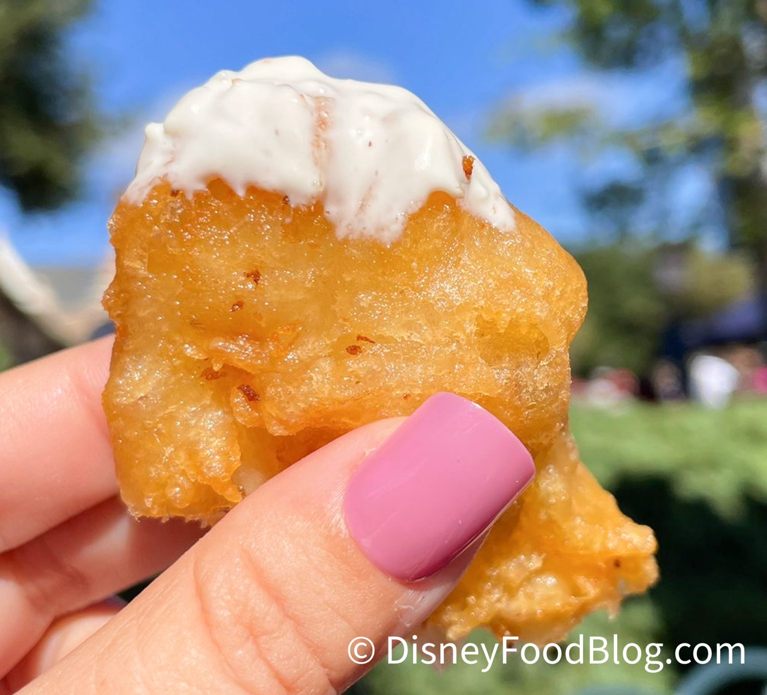 Review: Food SO GOOD It's the ONLY Thing On The Menu at This Disney ...