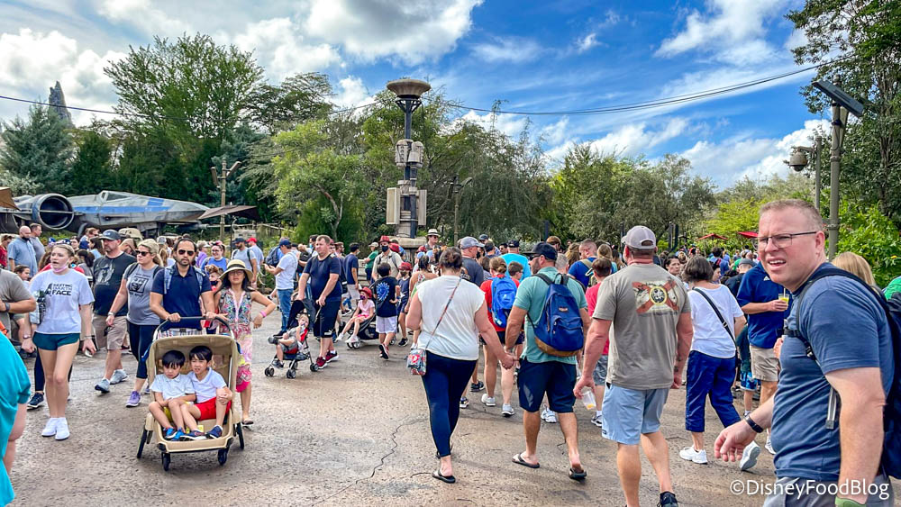 PHOTOS: What Were Disney World Crowds Like the Weekend Before Christmas ...