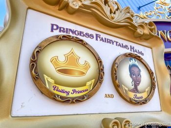 PHOTOS: A SURPRISE Princess Visited Magic Kingdom Today! | the disney ...
