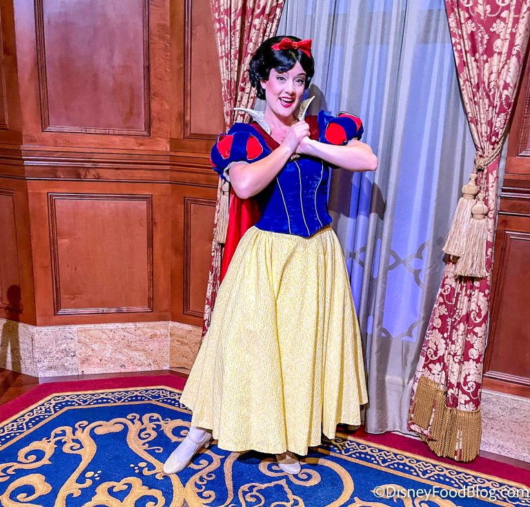 PHOTOS: A SURPRISE Princess Visited Magic Kingdom Today! | the disney ...