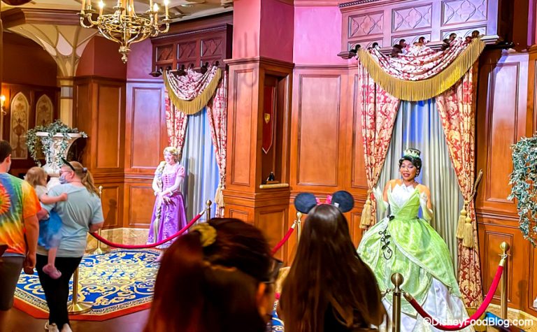 7 Strange Facts About Meeting Characters in Disney World | the disney ...