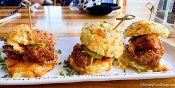 BEST Table Service Restaurants To Make the Most of Your 2024 Disney ...