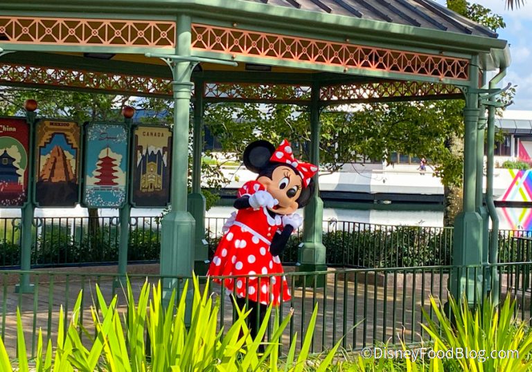PHOTOS: One of Disney's Most Popular Characters is Now in A New Spot at ...