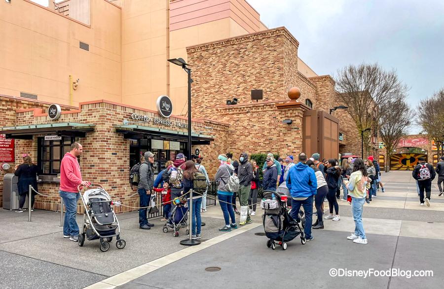 PHOTOS & VIDEOS: A CHILLY Day in Disney World is Better Than You Might ...
