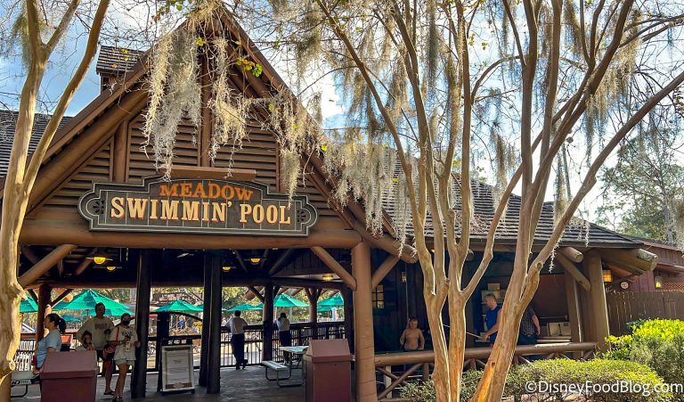 Get Ready To Experience This EXPANDED Disney World Hotel Pool in 2026 ...