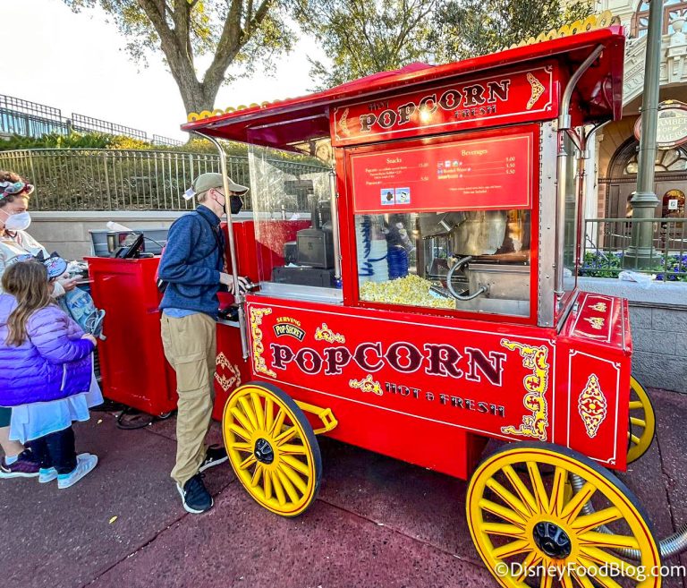 FIRST LOOK at the Exclusive Popcorn Bucket Coming SOON to Disney World ...